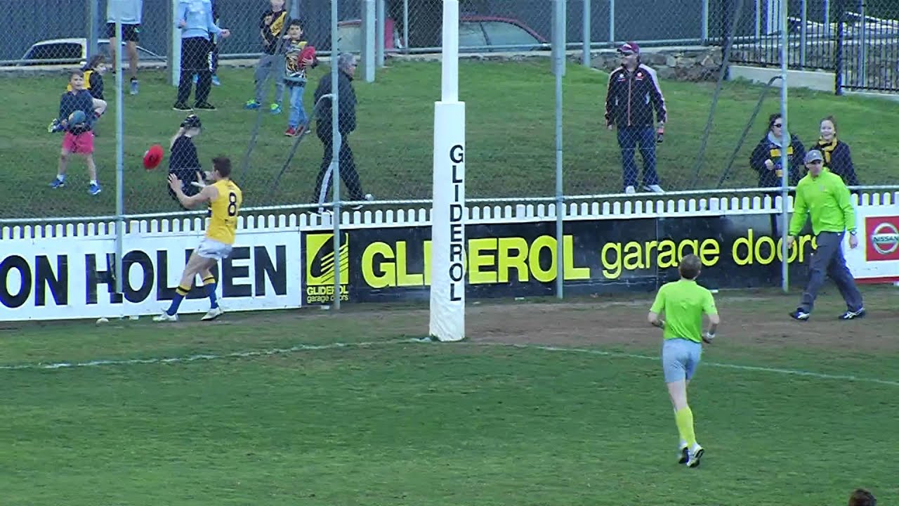 Glenelg's Clint Alleway kicks a goal from centre v Eagles, Rd 15, 2015 ...