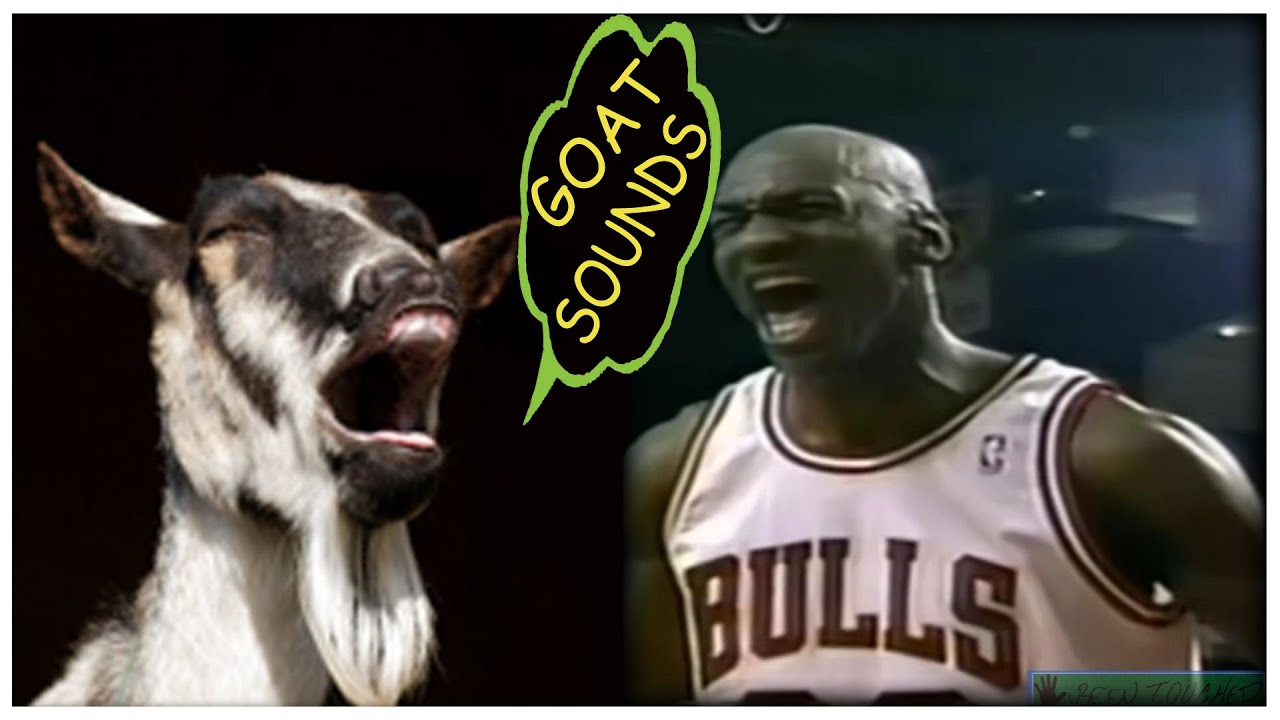 Michael Jordan scream with goat sound over it. Hilarious funny video ...