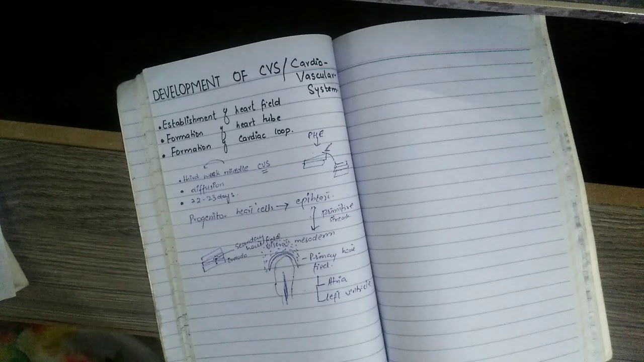 Development of Cardiovascular System, #CVS, #Formation of heart fields ...
