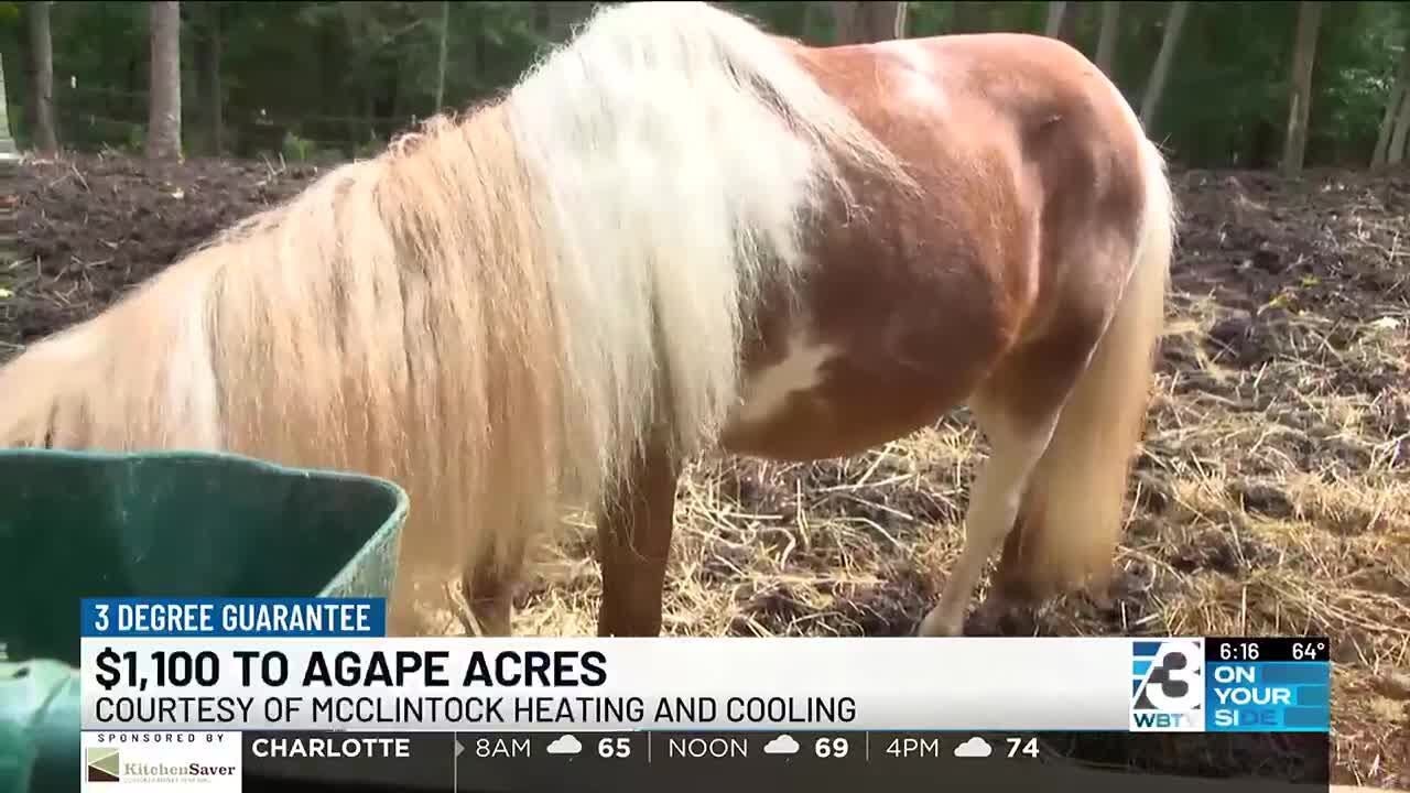 Agape Acres awarded $1.1K through WBTV’s 3 Degree Guarantee - YouTube