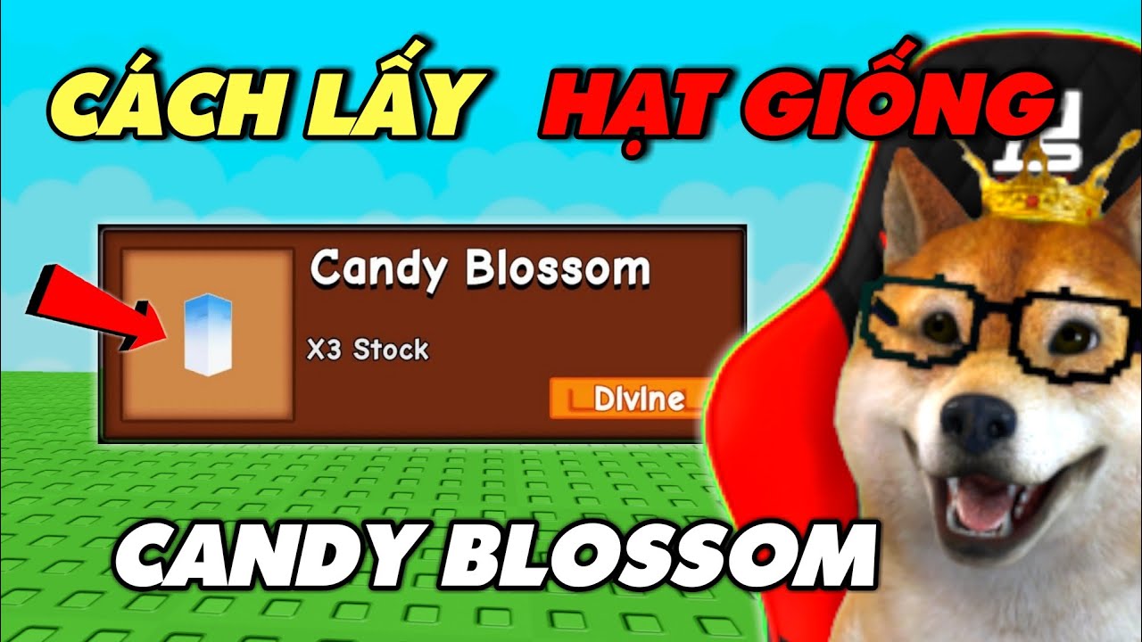 Cách Để Lấy Hạt Giống CANDY BLOSSOM Trong UPDATE Mới Của GROW A GARDEN ...