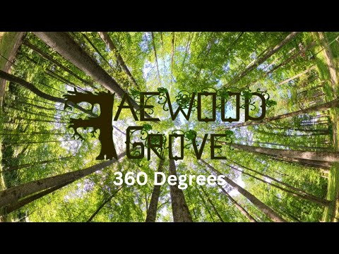 Faewood Grove 360 Degrees - YouTube