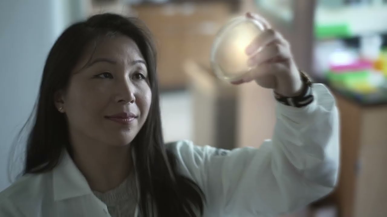 Elaine Y. Hsiao, 2022 Blavatnik National Awards Laureate in Life Sciences - YouTube