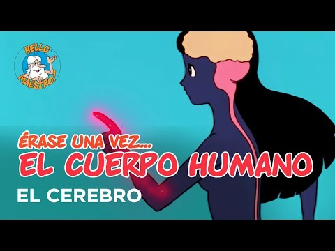 Erase Una Vez... El Cuerpo Humano - El cerebro