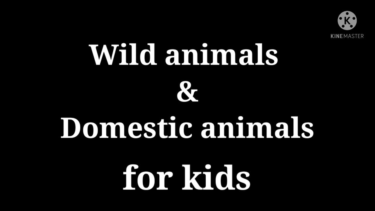 Wild animals and domestic animals ll Difference between wild & domestic ...