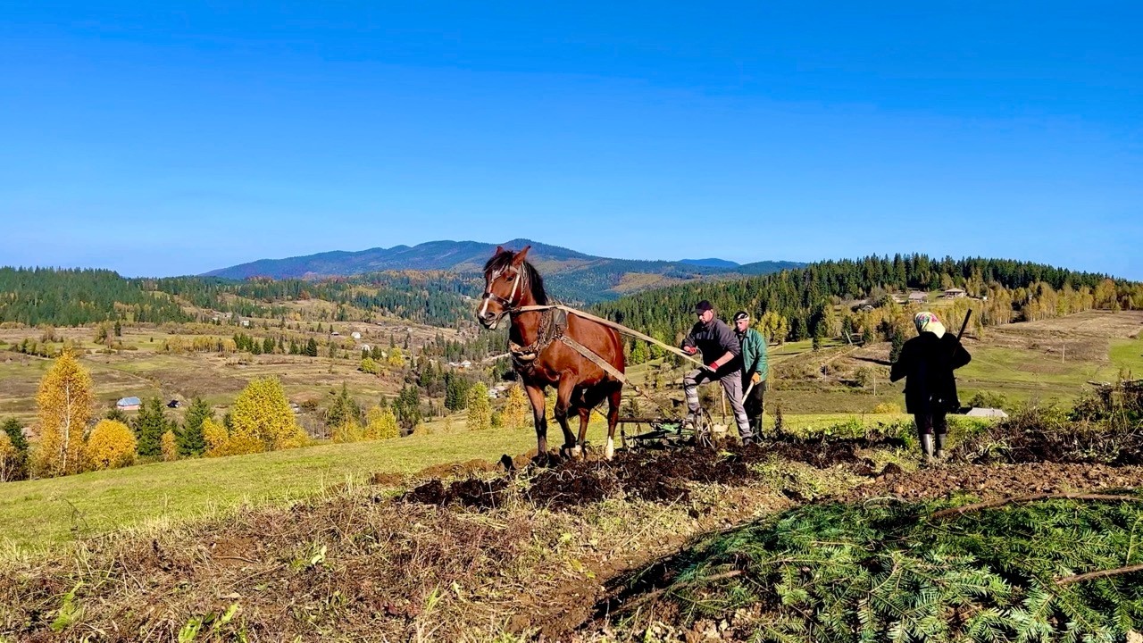 Autumn charm of simple rural life in a high-mountain village in the ...