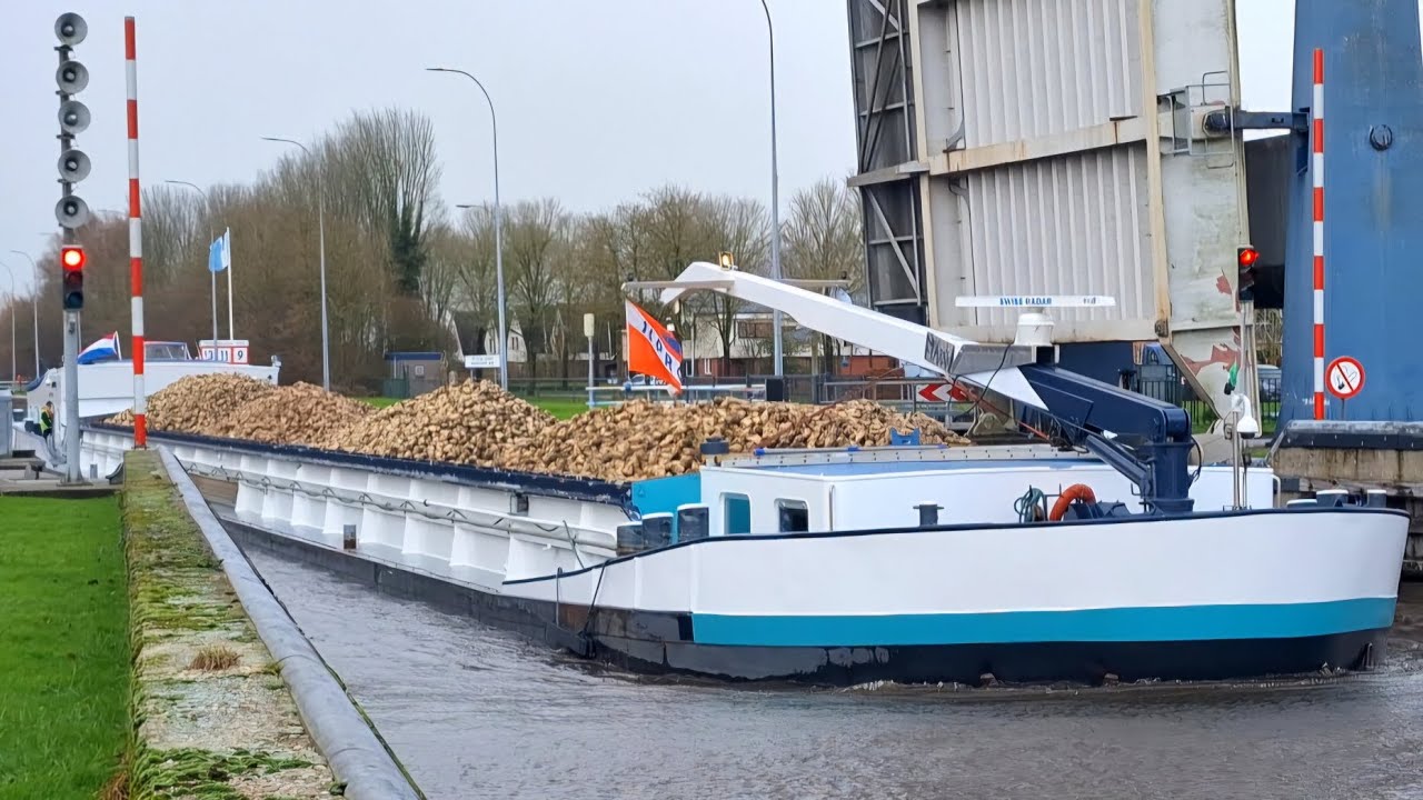 De MARELIE onderweg met suikerbieten naar de Suikerfabriek. - YouTube