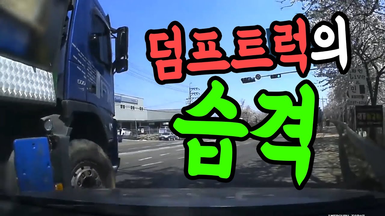 7693회 우회전 전용도로인지 전혀 몰랐습니다 가만히 서 있던 제가 잘못일까요 Youtube