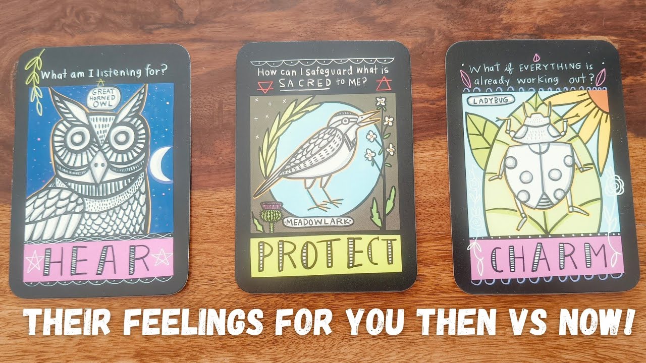 **Pick a Card** Their Feelings For You Then VS Now - YouTube