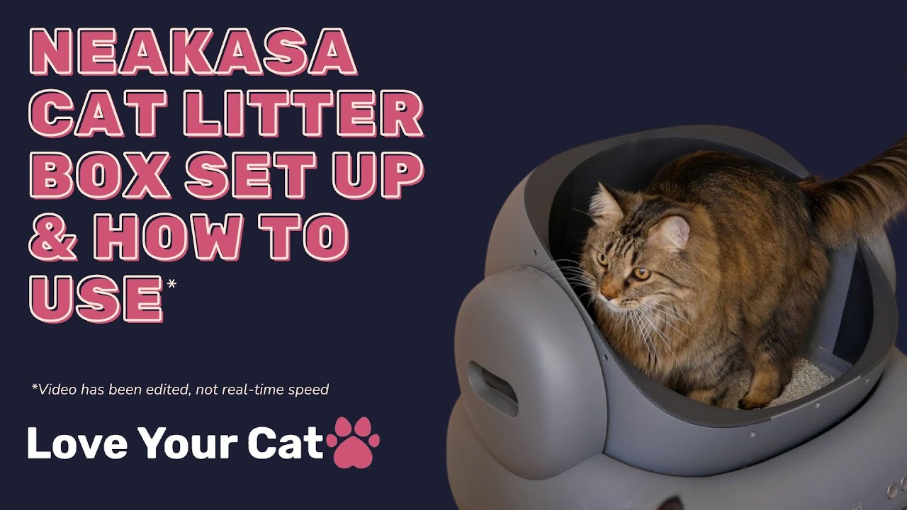 Neakasa Litter Box Reviews: My Cat’s Self-Cleaning Experience - YouTube