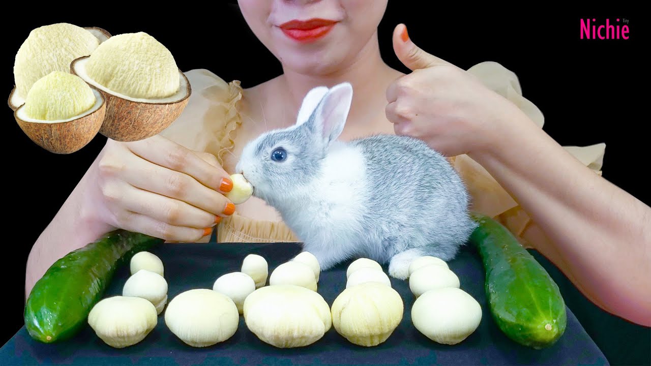 Mukbang ASMR *Eating Coconut Embryo & Japanese Cucumber With My Cute ...