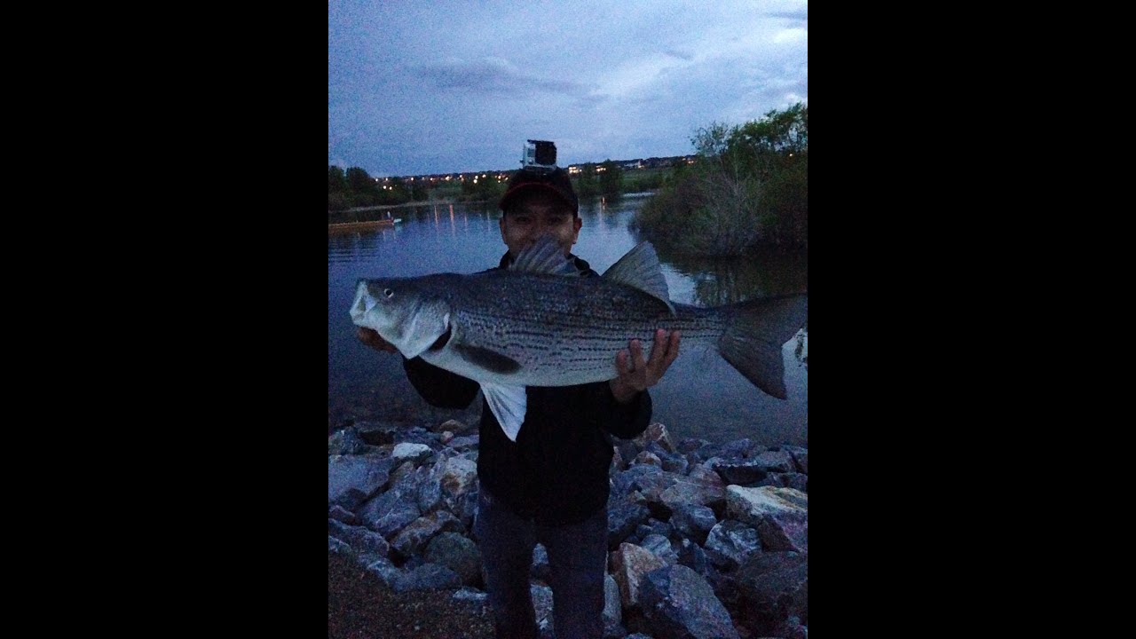 Ultralight wiper fishing with 4lb test - YouTube