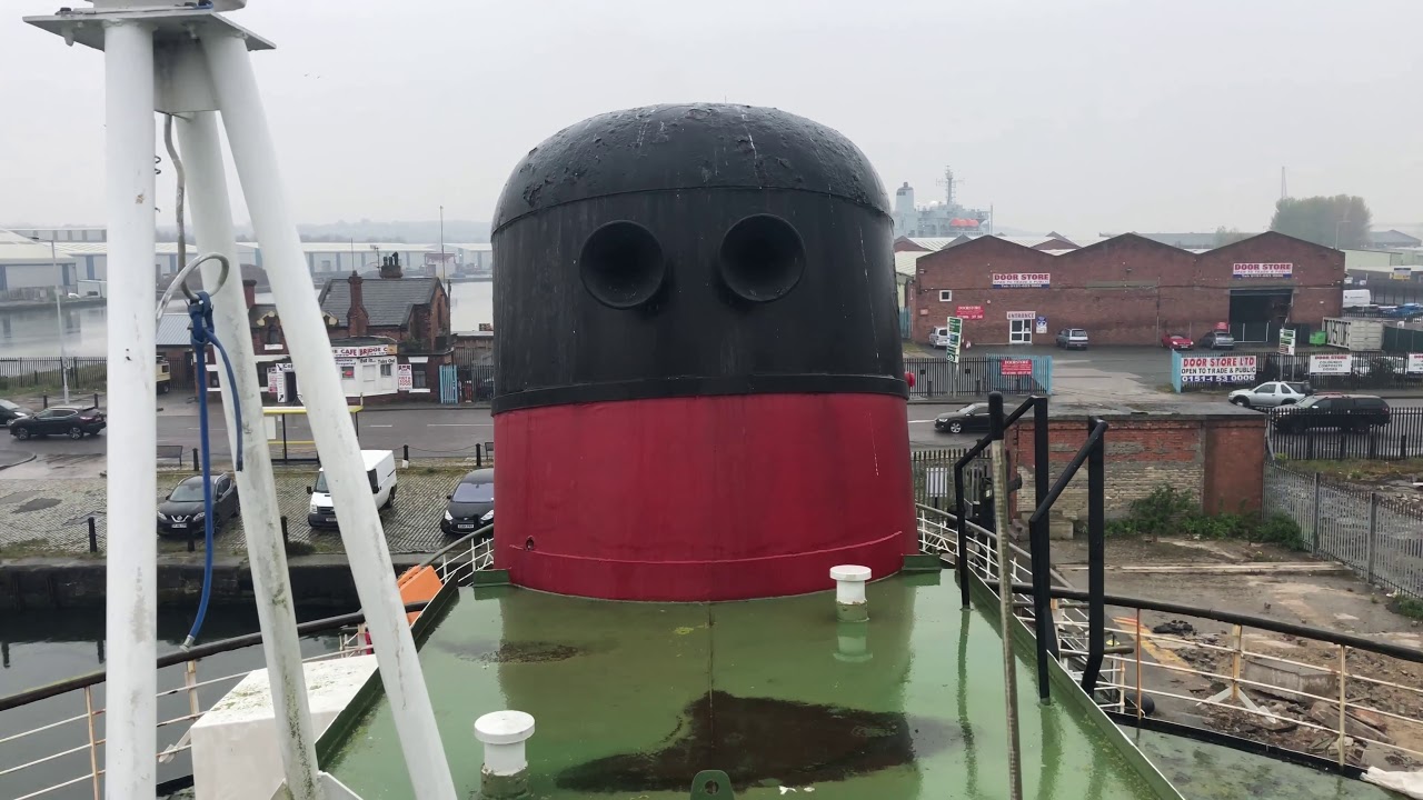 The Royal Daffodil 2019 - YouTube