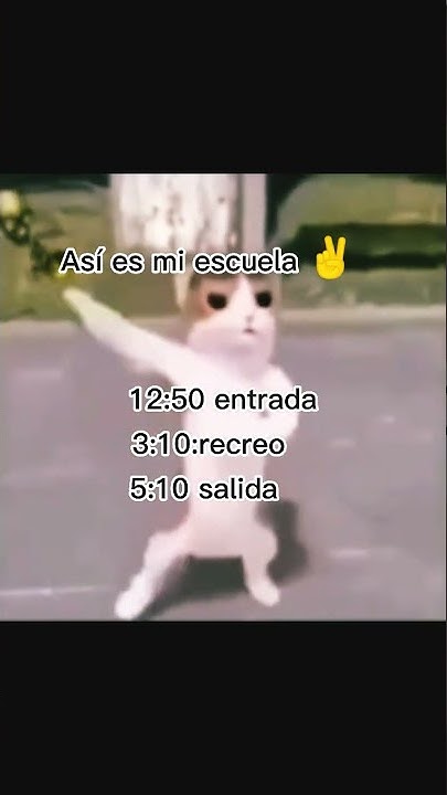 Así es mi escuela 🤙😌 - YouTube