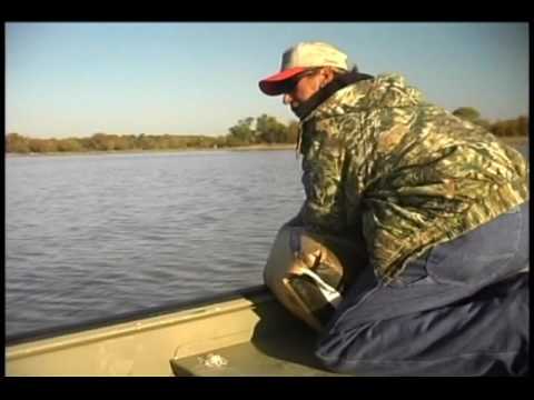 Catfishing tips with Danny King Part 1 - YouTube