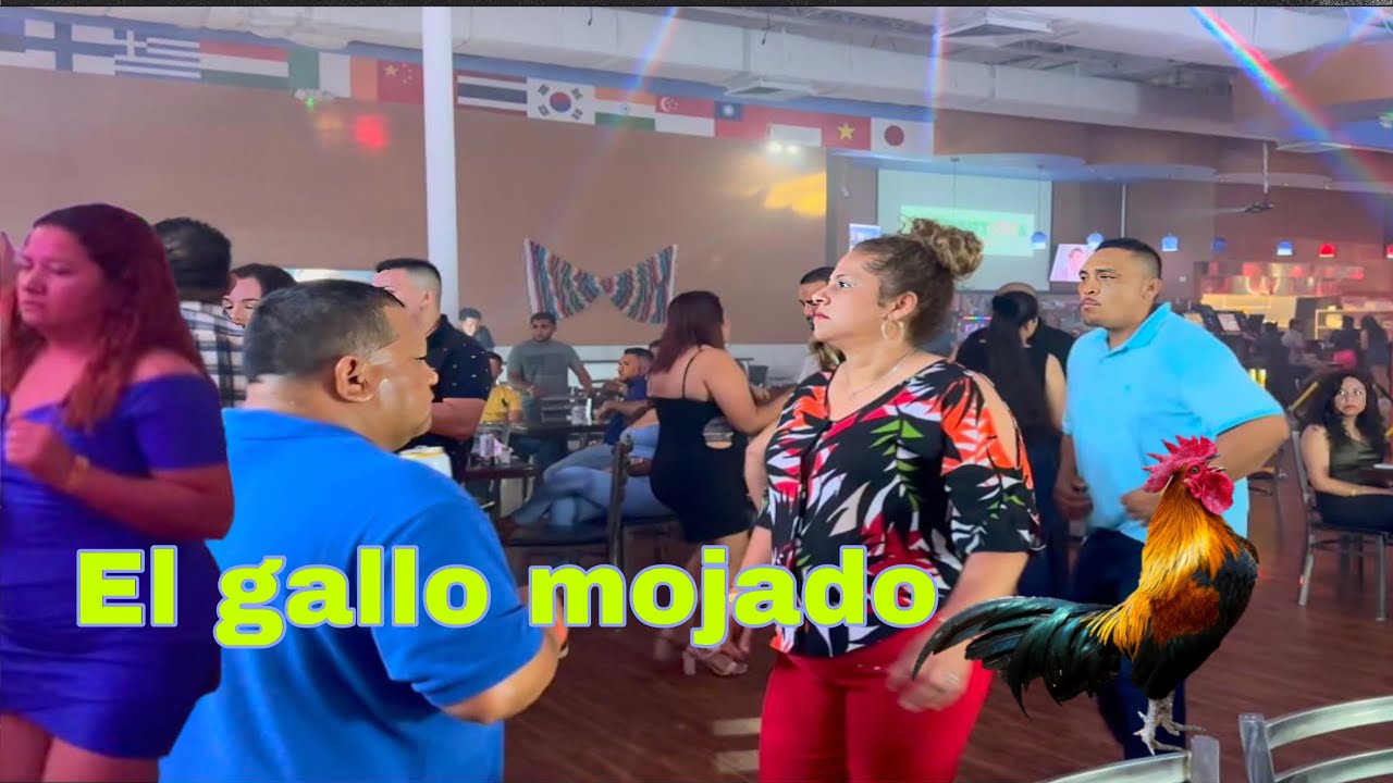 Guanacos swing el gallo mojado - YouTube
