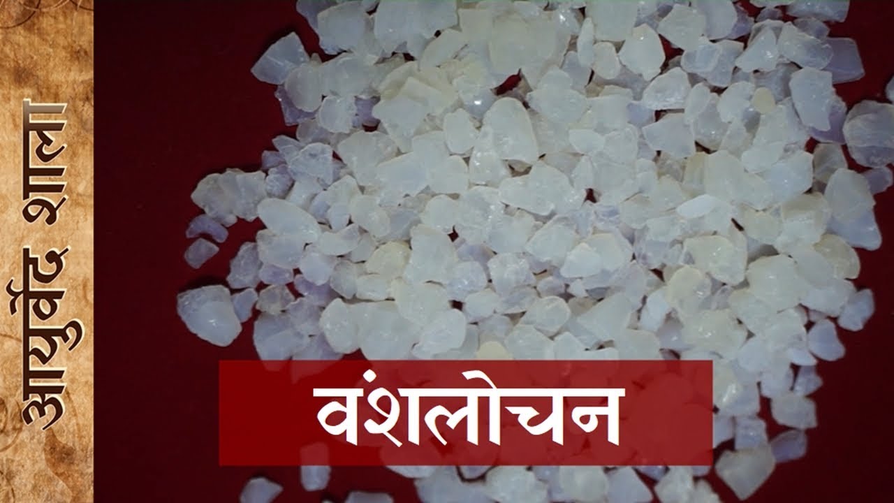 Vanslochan | वंशलोचन सम्पूर्ण जानकारी | Ayurved Shala - YouTube