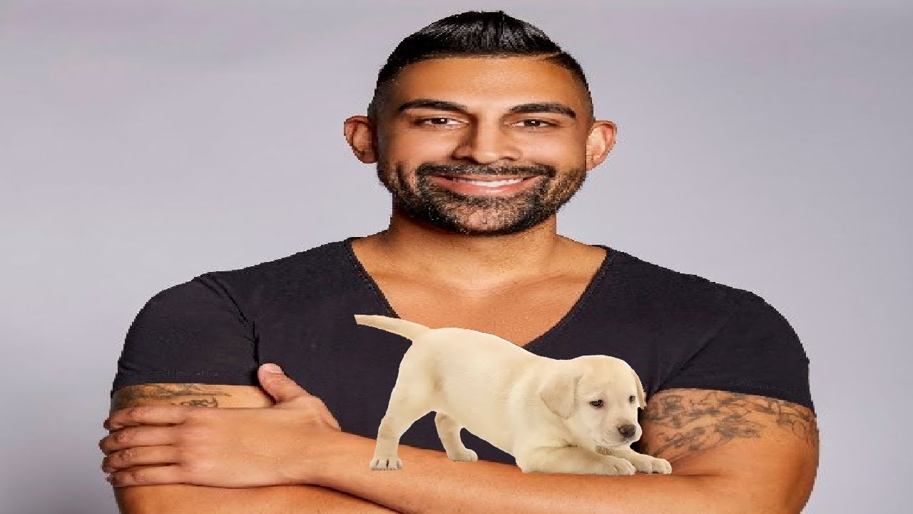 Dhar Mann Hates Dogs - YouTube