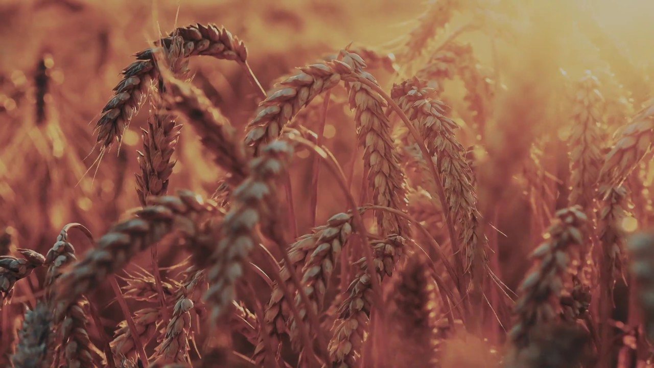 Keep on nonstop producing.. - YouTube