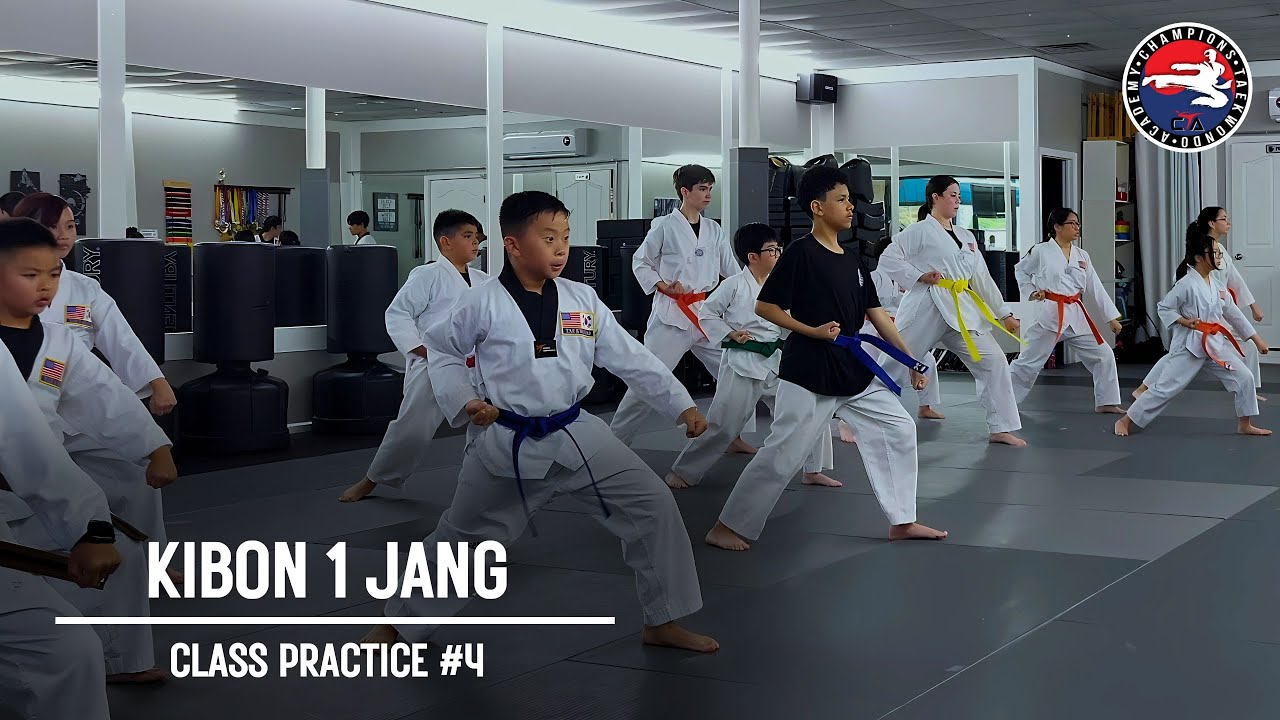 Taekwondo Poomsae | Kibon Il Jang - Class Practice #4 - YouTube