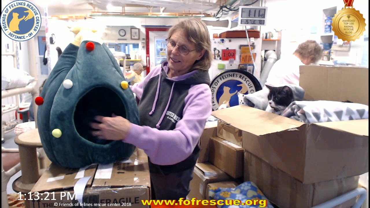 FFRC Boxes 11-26-2019 Friends of Felines Rescue Center (FFRC) - YouTube