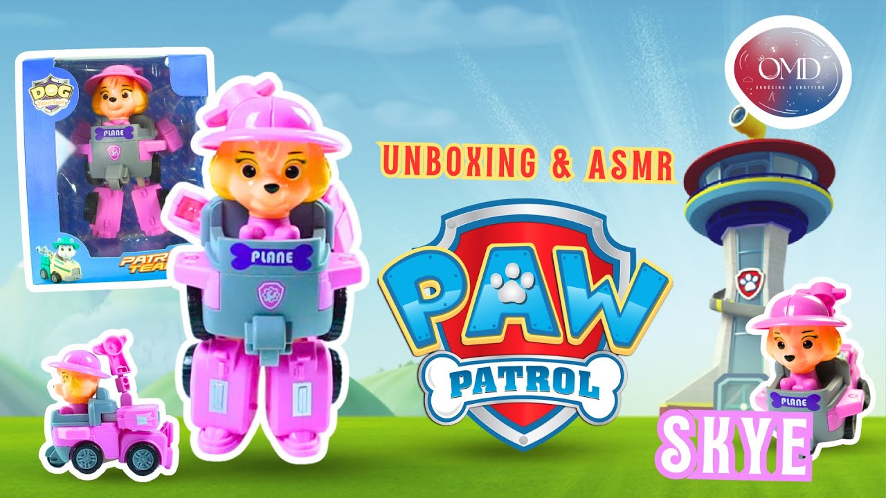 Unboxing The Cute SKYE Paw Patrol Toys | ASMR Unboxing Toy - YouTube