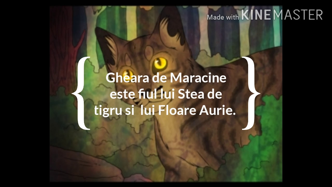 Lucruri despre Gheara de Maracine | Pisicile Războinice 🍁 - YouTube