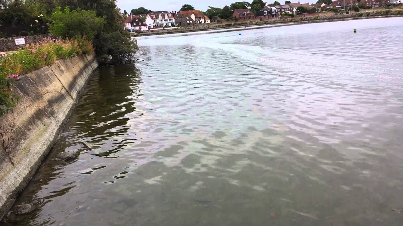 Home made boat with strimmer engine - YouTube