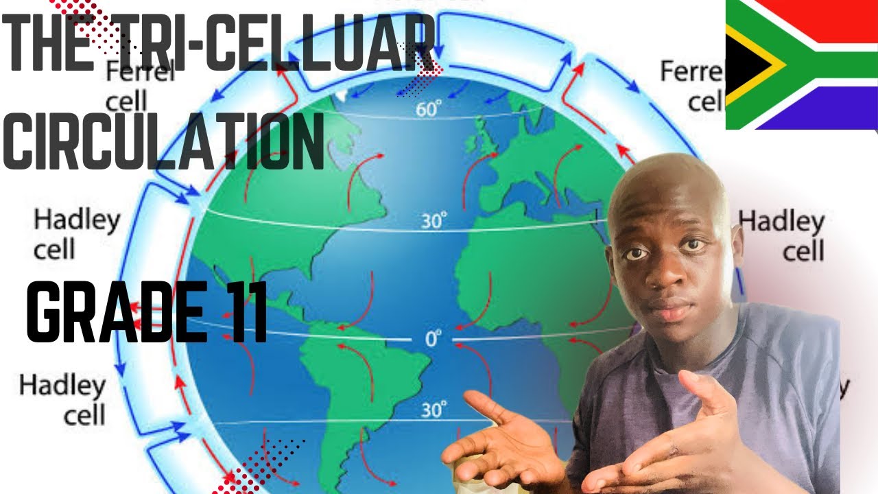 The Tri - Cellular Circulation - Grade 11 - YouTube