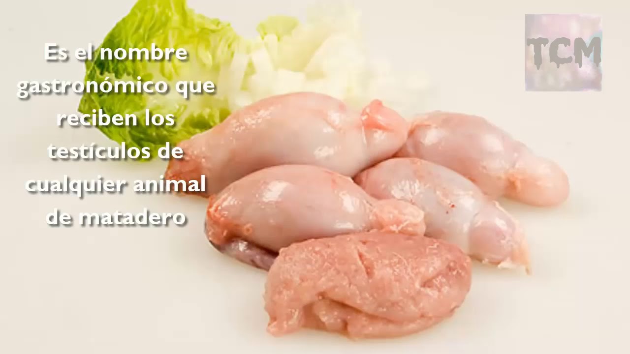 Las 20 comidas más asquerosas del mundo - YouTube