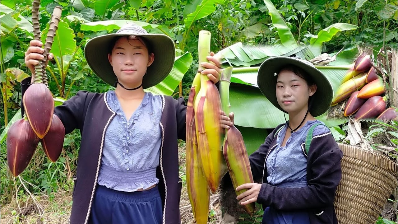 lub neej pob tsawb liab - YouTube