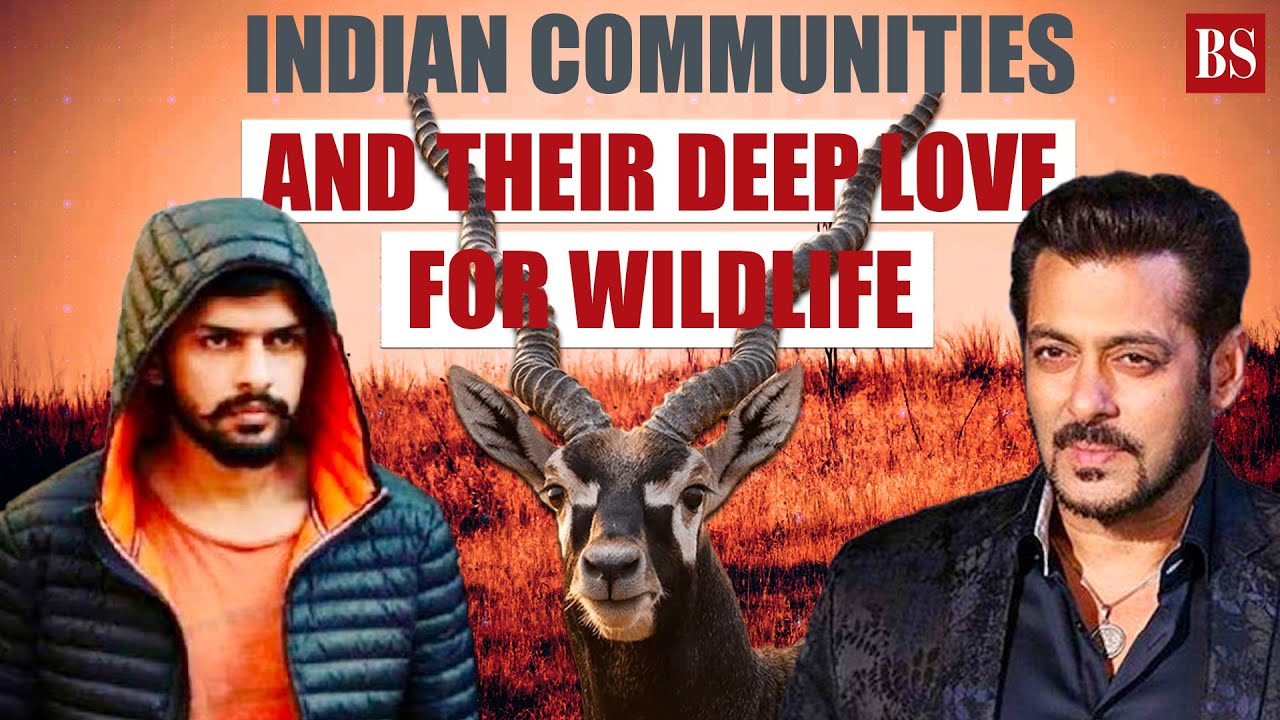 BS Decoded: Indian communities and their deep love for wildlife | Black ...