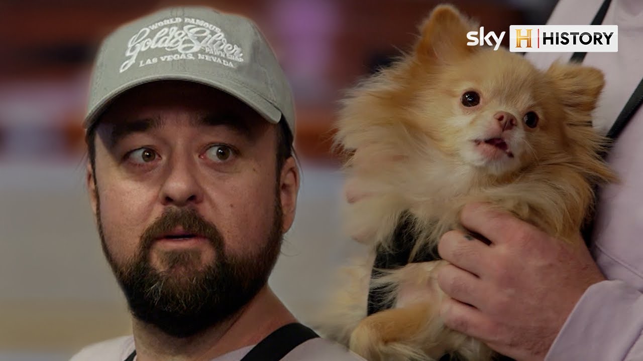 Chumlee hires Pinkie the dog | Pawn Stars - YouTube