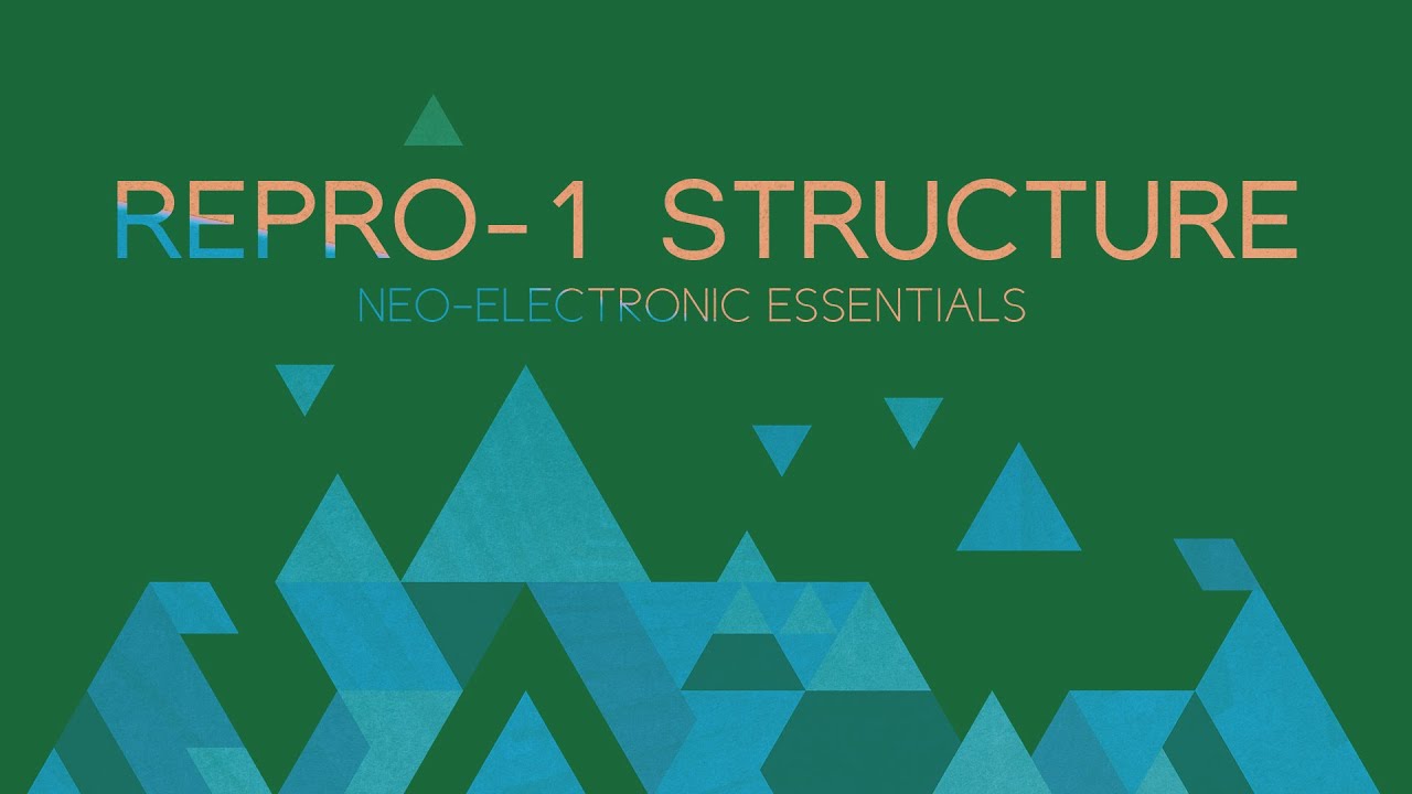 RePro 1 Structure Walkthrough - YouTube