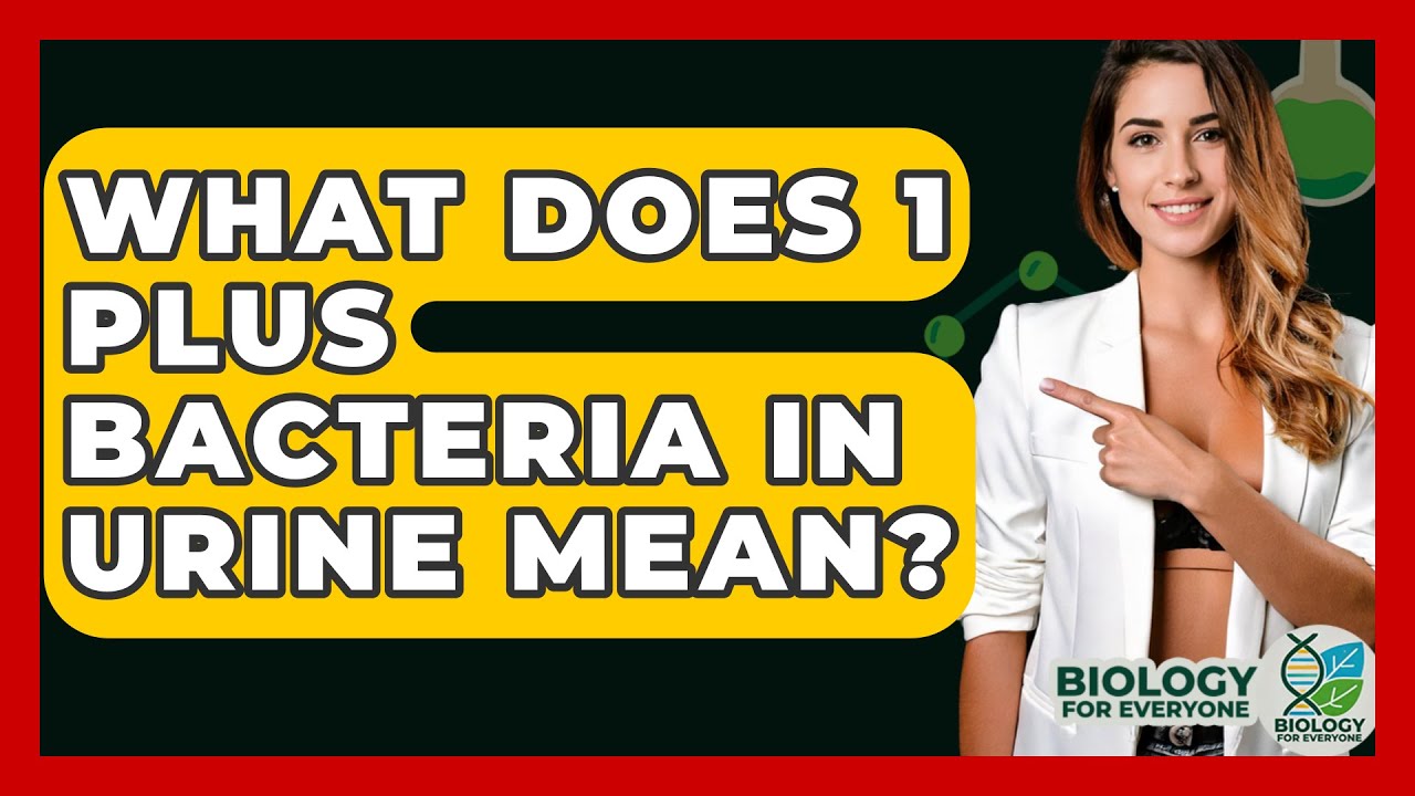 What Does 1 Plus Bacteria In Urine Mean? - Biology For Everyone - YouTube