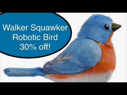 Joy for All Walker Squawker Bluebird Interactive Robotic Pet Companion ...