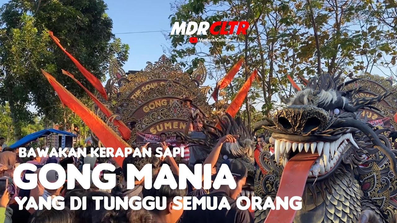 Yang Ditunggu Tunggu Semua Orang Daul Gong Mania‼️ Bawakan lagu Kerapan ...