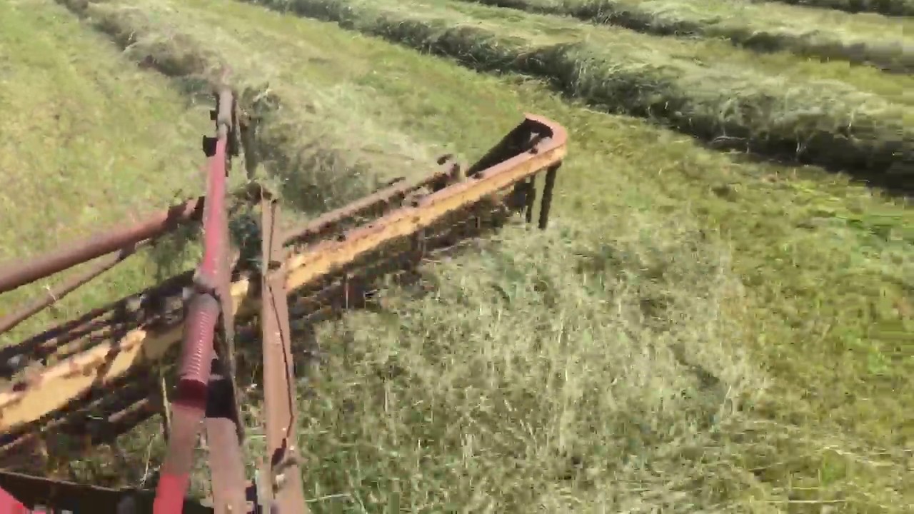 Raking and balling - YouTube