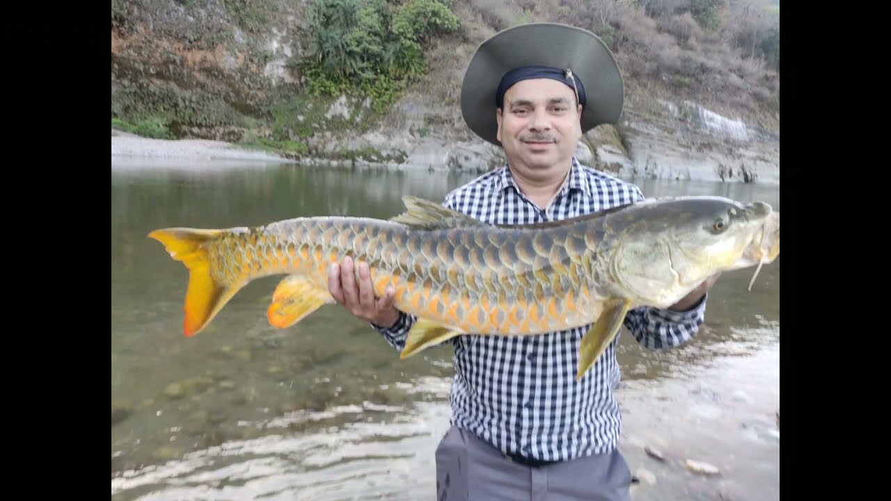 Himalayan Golden Mahseer fishing - YouTube