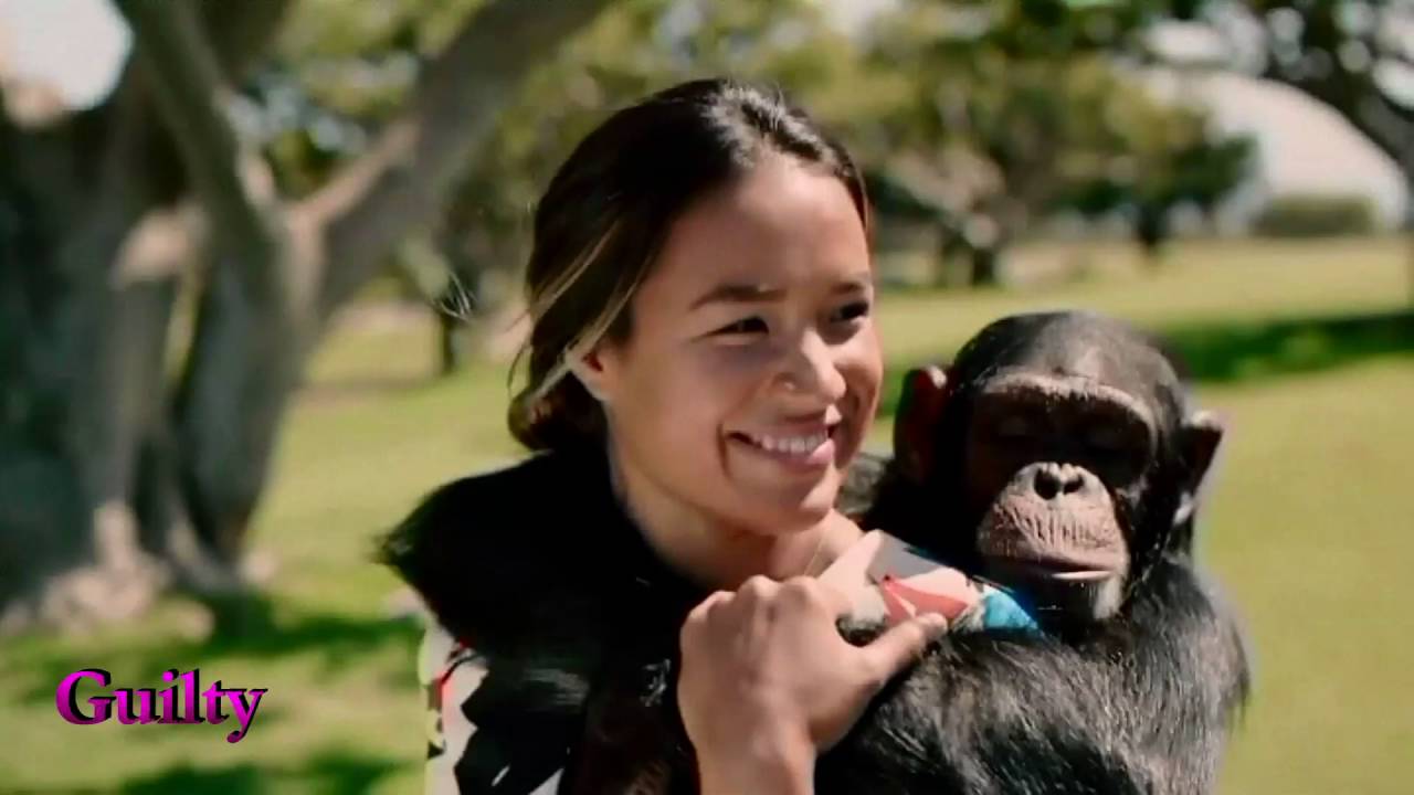 ME AND MY MONKEY - ROBBIE WILLIAMS - YouTube Music