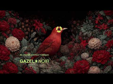 Gazel Noir - Olma Dedi