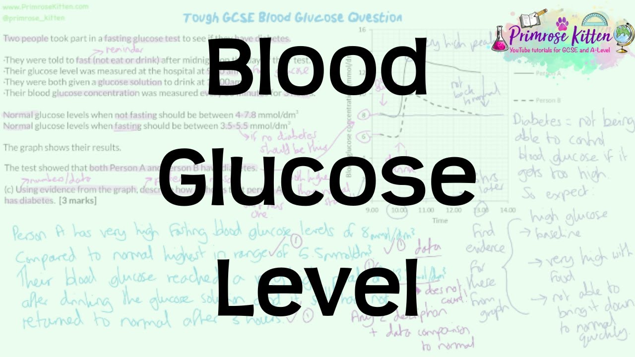 Blood Glucose Levels | Grade 9 Exam Question Walkthrough for GCSE ...