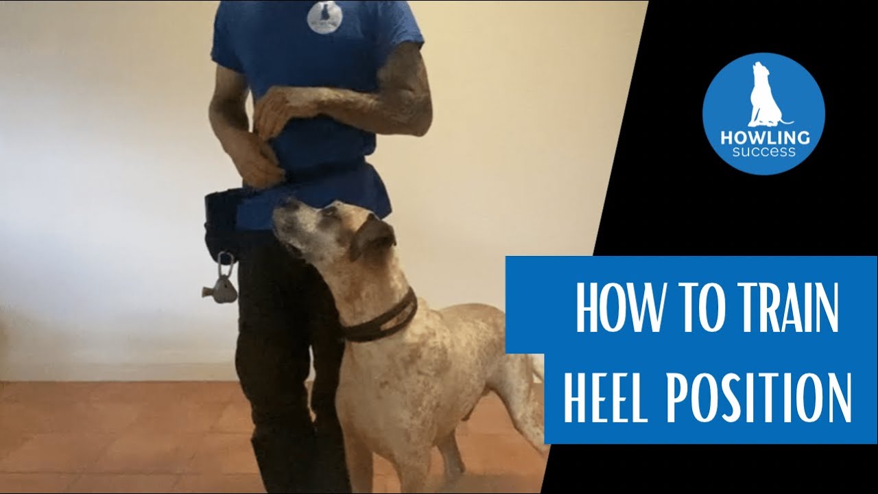 Heel Position with Nathan @ Howling Success - YouTube