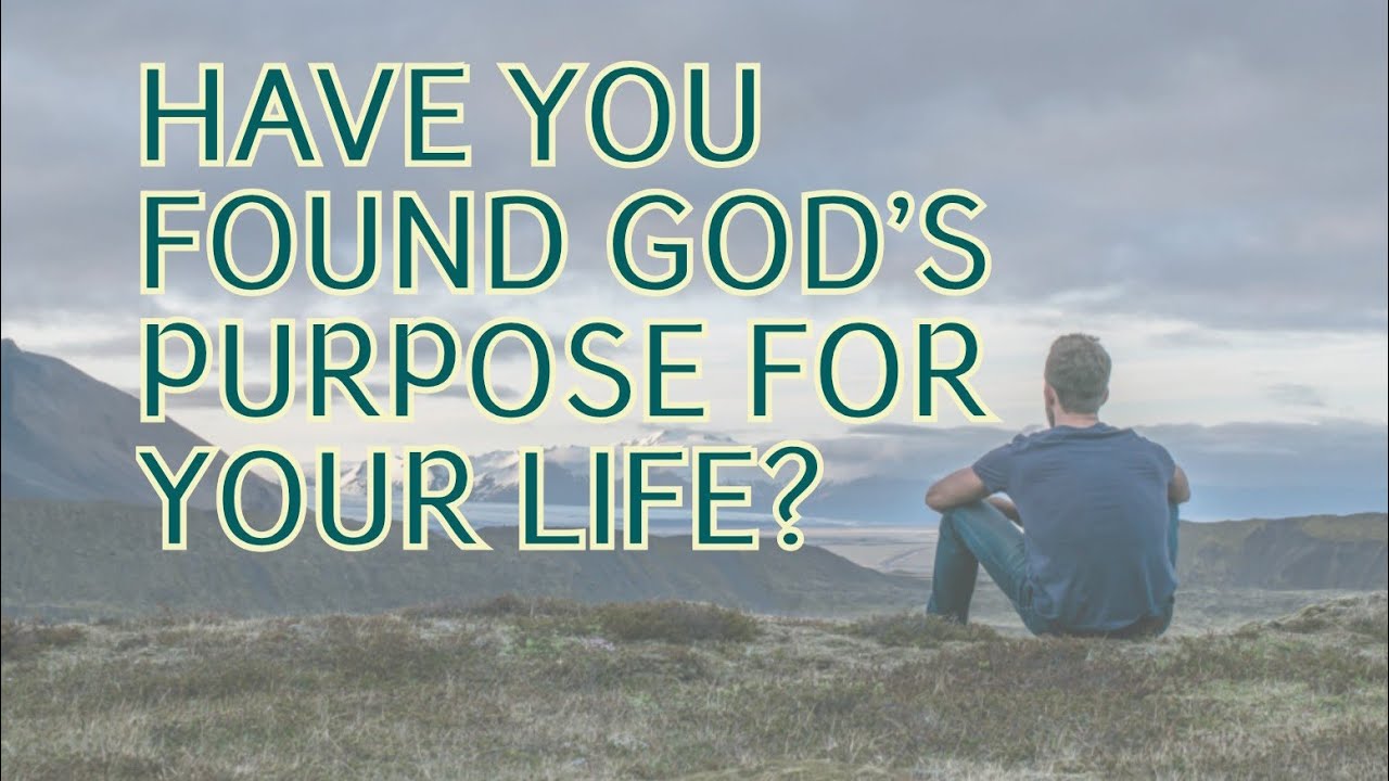 GOD'S PURPOSE FOR YOU PART 2 - YouTube