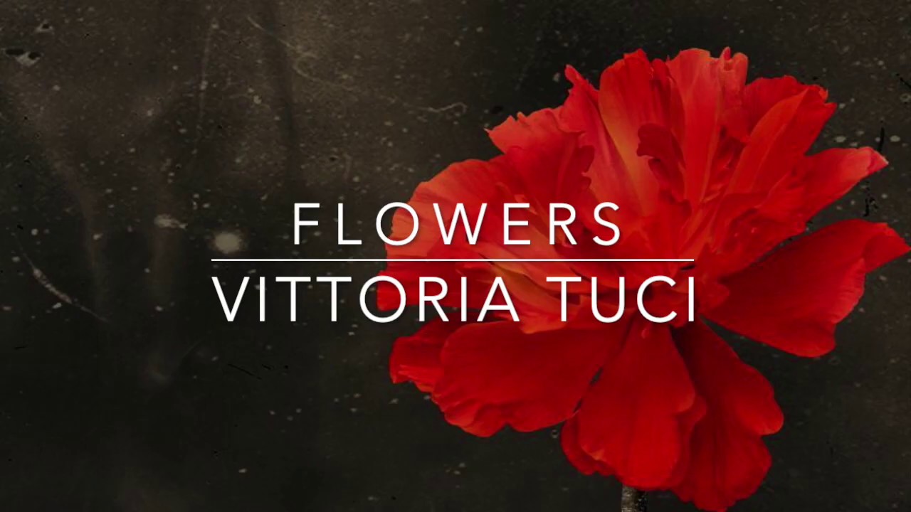 Flowers - Hadestown (Vittoria Tuci cover) - YouTube