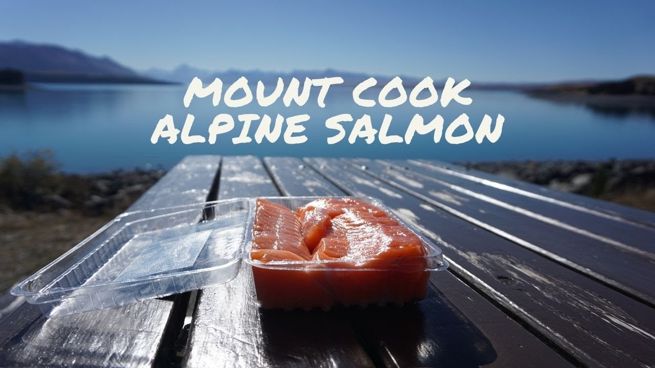 MOUNT COOK ALPINE SALMON: SASHIMI FEAST // SOUTH ISLAND ROAD TRIP 2021 ...