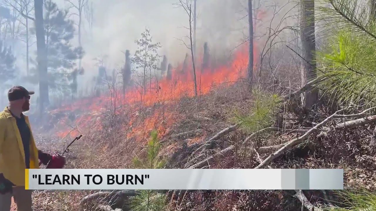 "Learn-to-Burn" courses to prevent large-scale fires - YouTube