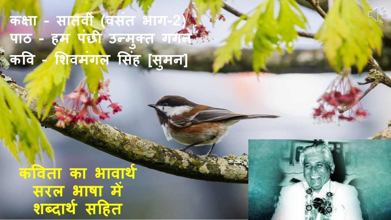 Class 7 Hindi Chapter 1 1 Hum class-7-hindi-chapter-1-1-hum