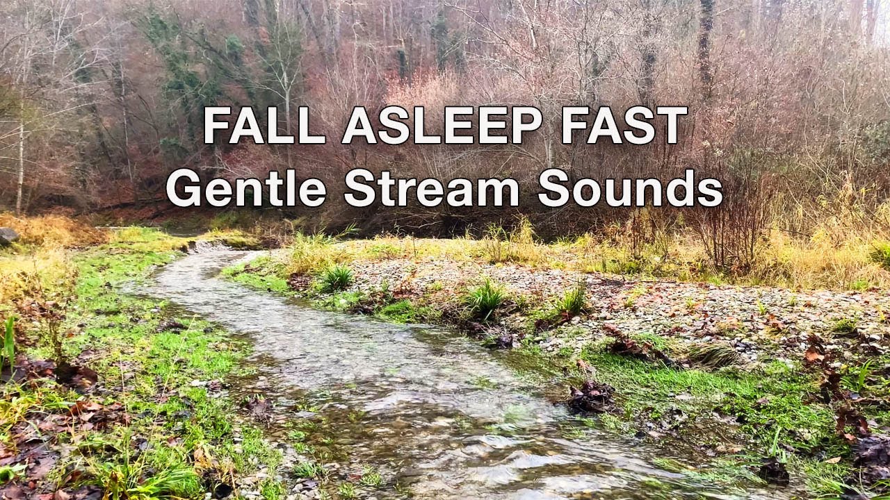 Gentle Stream Sounds for Deep Sleep – 2 Hours of Natural Water Flow ...