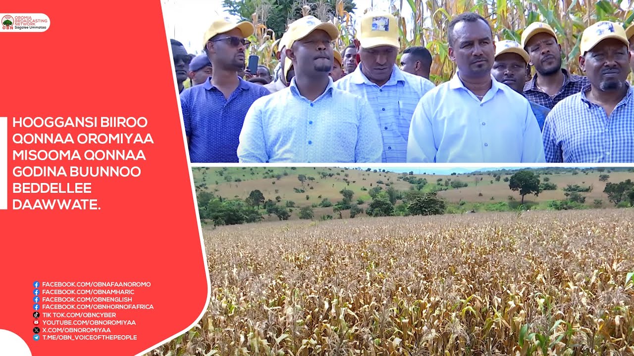 Hooggansi Biiroo Qonnaa Oromiyaa misooma Qonnaa Godina Buunnoo ...